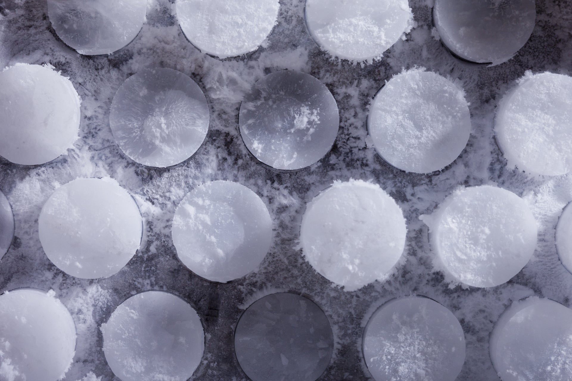 Torris – Dry Ice Store